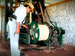 Index of /images/mexico-agricultural-tour